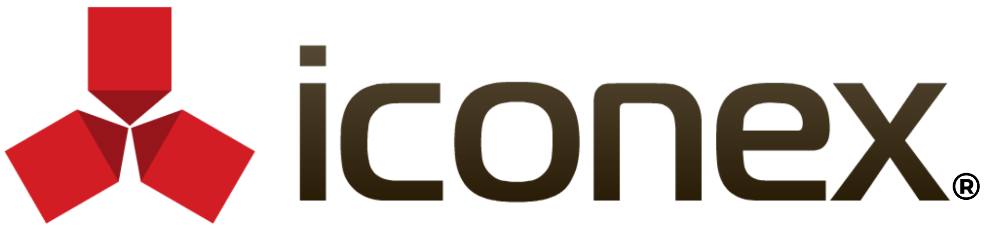 Inicio - ICONEX - Conectividad a Tu Alcance